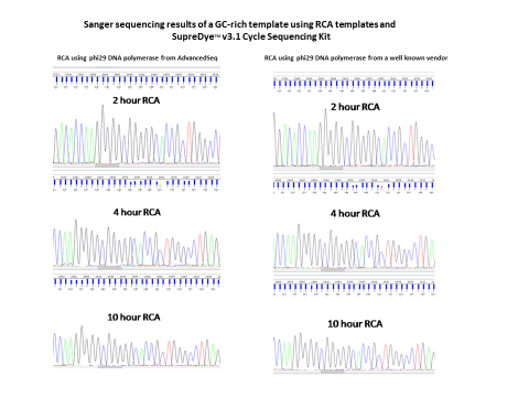 ADS™ phi29 DNA Polymerase & RCA DNA Amplification Kit - AdvancedSeq